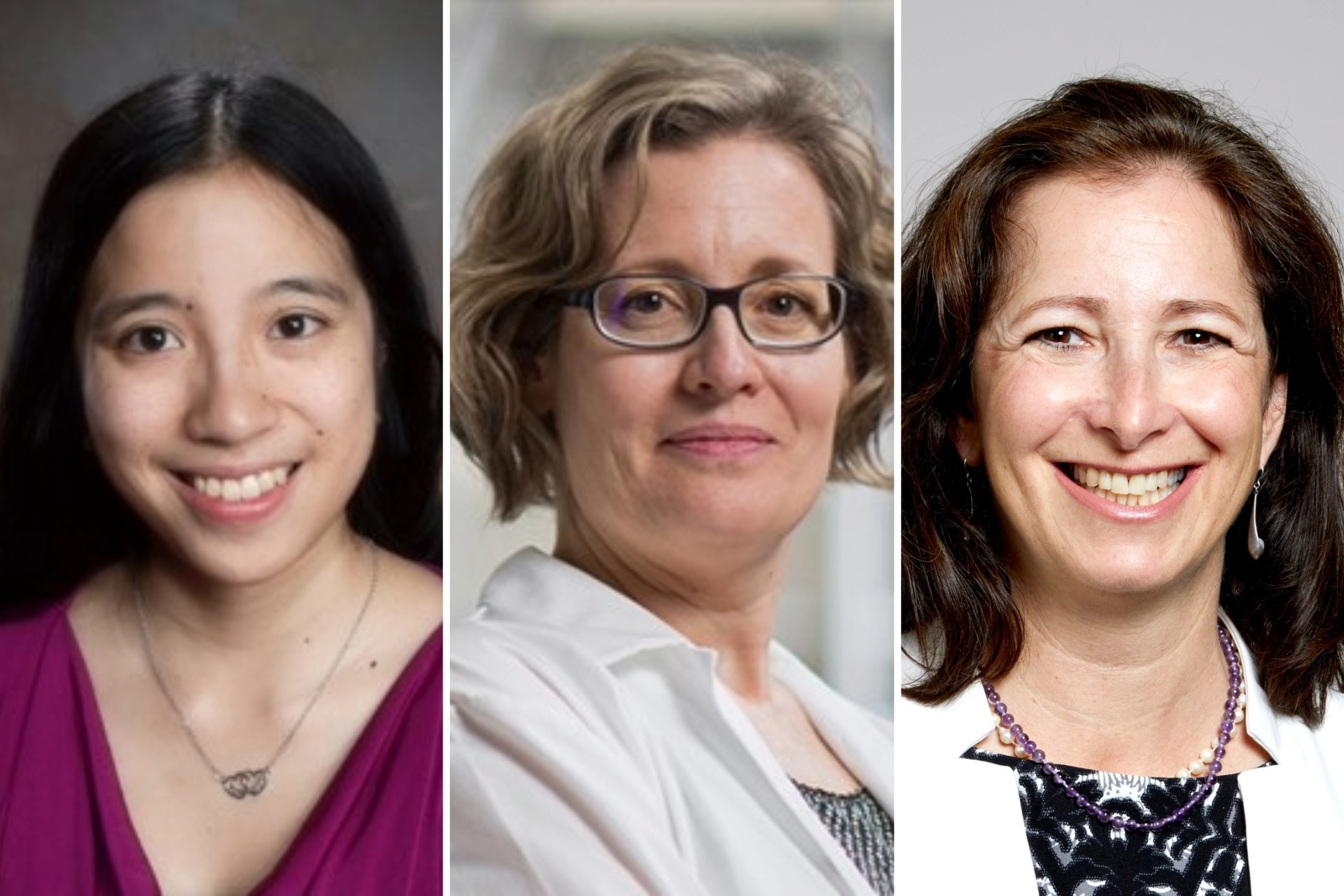 Cell and Tissue Engineering - University of Toronto Biomedical Engineering