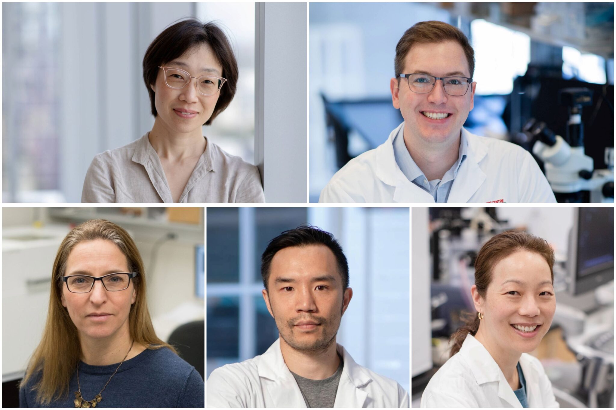 Institute of Biomedical Engineering - Home - University of Toronto