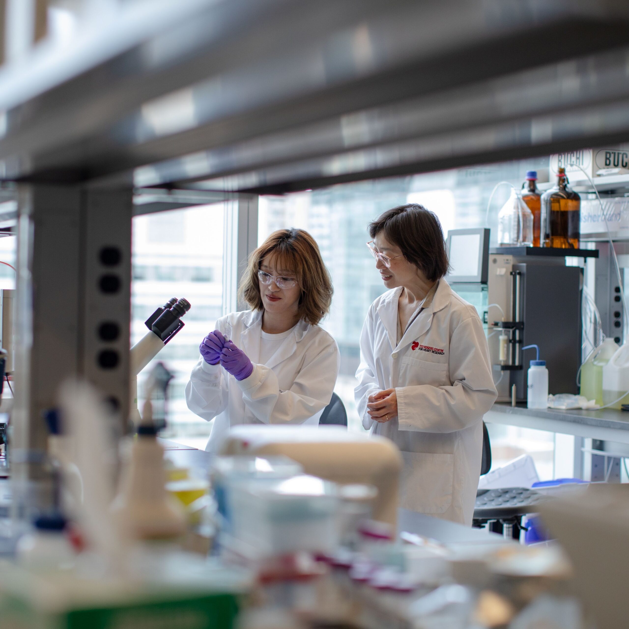 MRI technique enables long-term tracking of transplanted stem cell ...